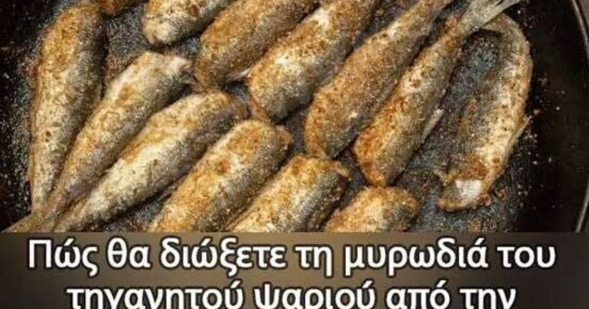 Πώς θα διώξετε τη μυρωδιά του τηγανητού ψαριού από την κουζίνα μια κι ...