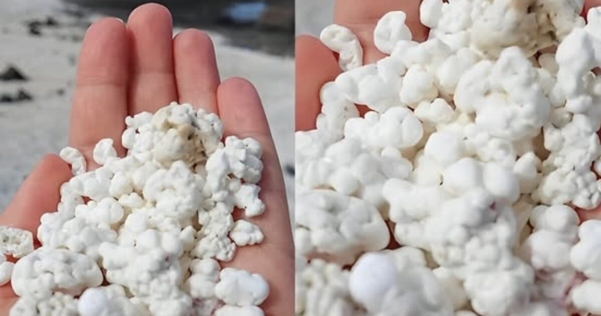 Σήμερα στην παραλία βρήκαμε κατά λάθος αυτά τα ασυνήθιστα αντικείμενα ...